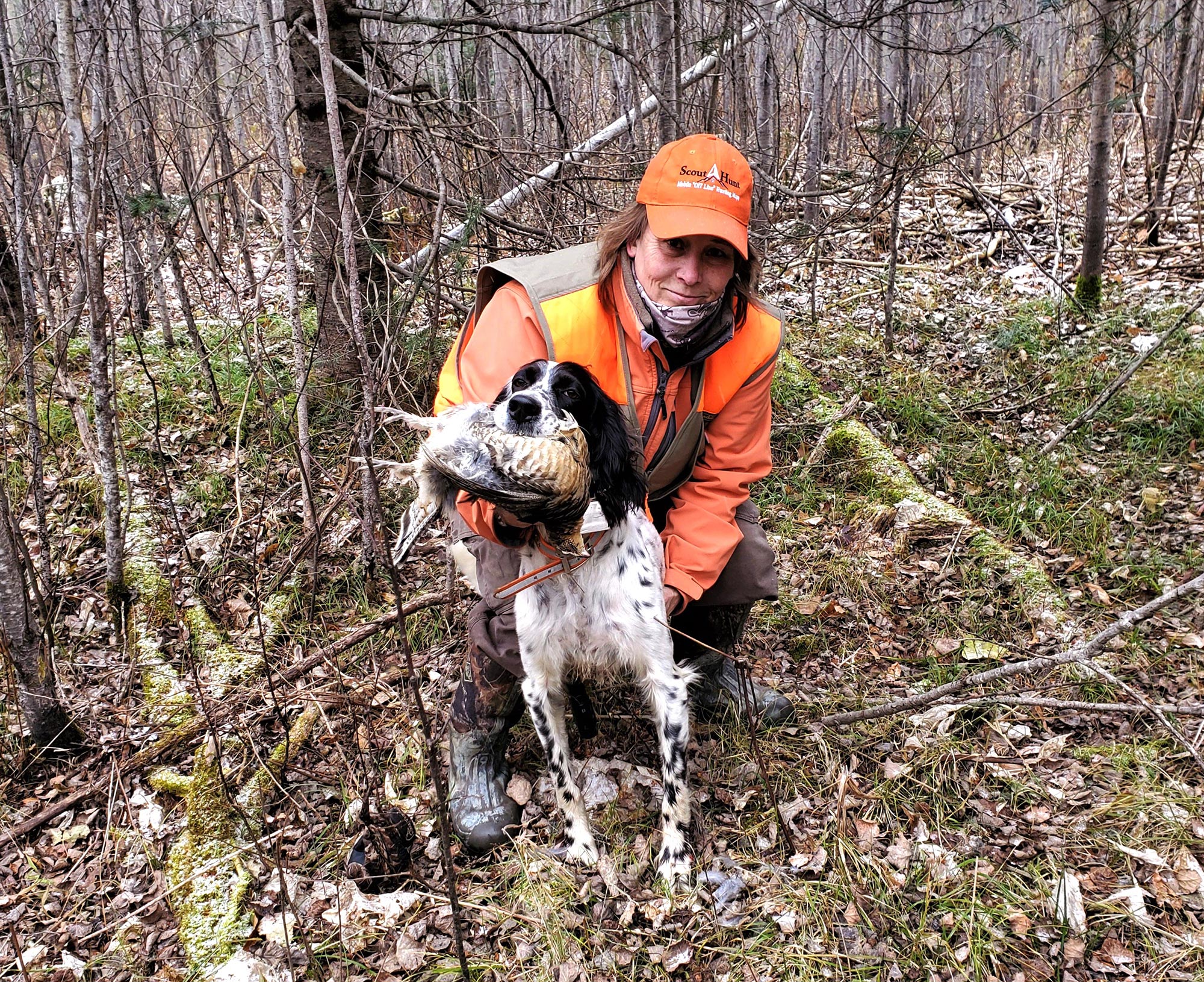 About Northwind English Setters of Northwind Enterprises, LLC, WI