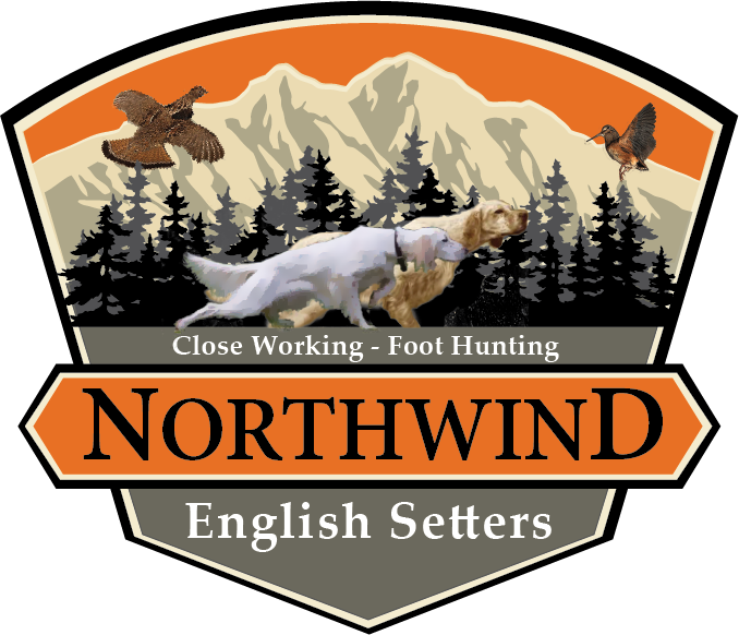 Pro-Trained Grouse Hunting Dogs for sale | Northwind English Setters, WI