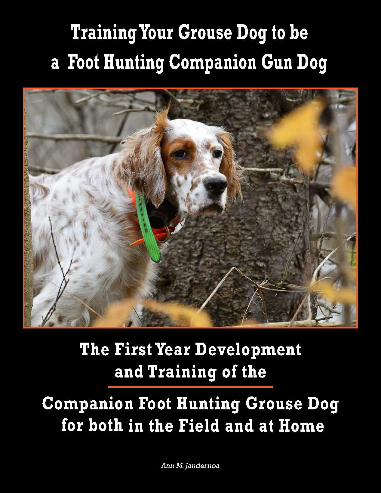 Current Litters of English Setter Puppies for sale | Glidden, WI